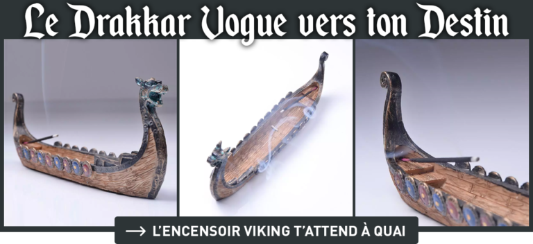 Drakkars Viking, Tout savoir sur les Navires Nordiques | Médiéfan